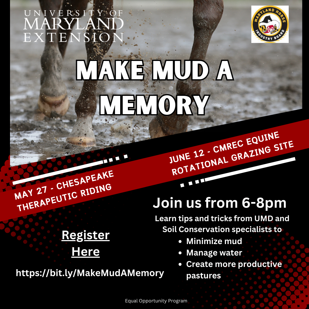 Redirecting to https://agnr.umd.edu/events/make-mud-a-memory